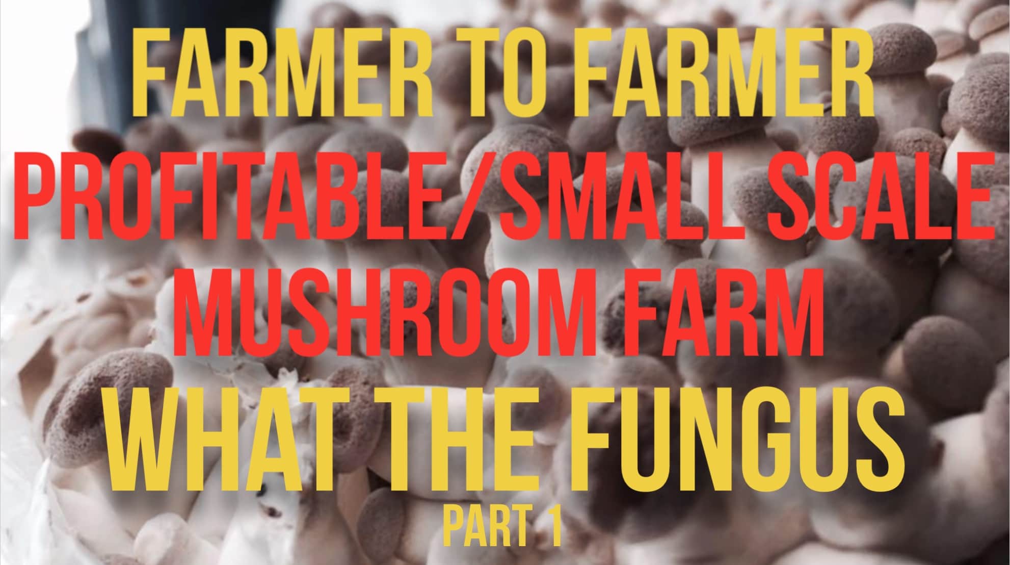 FARMER TO FARMER - What The Fungus - PART 1 | The Urban Farmer
